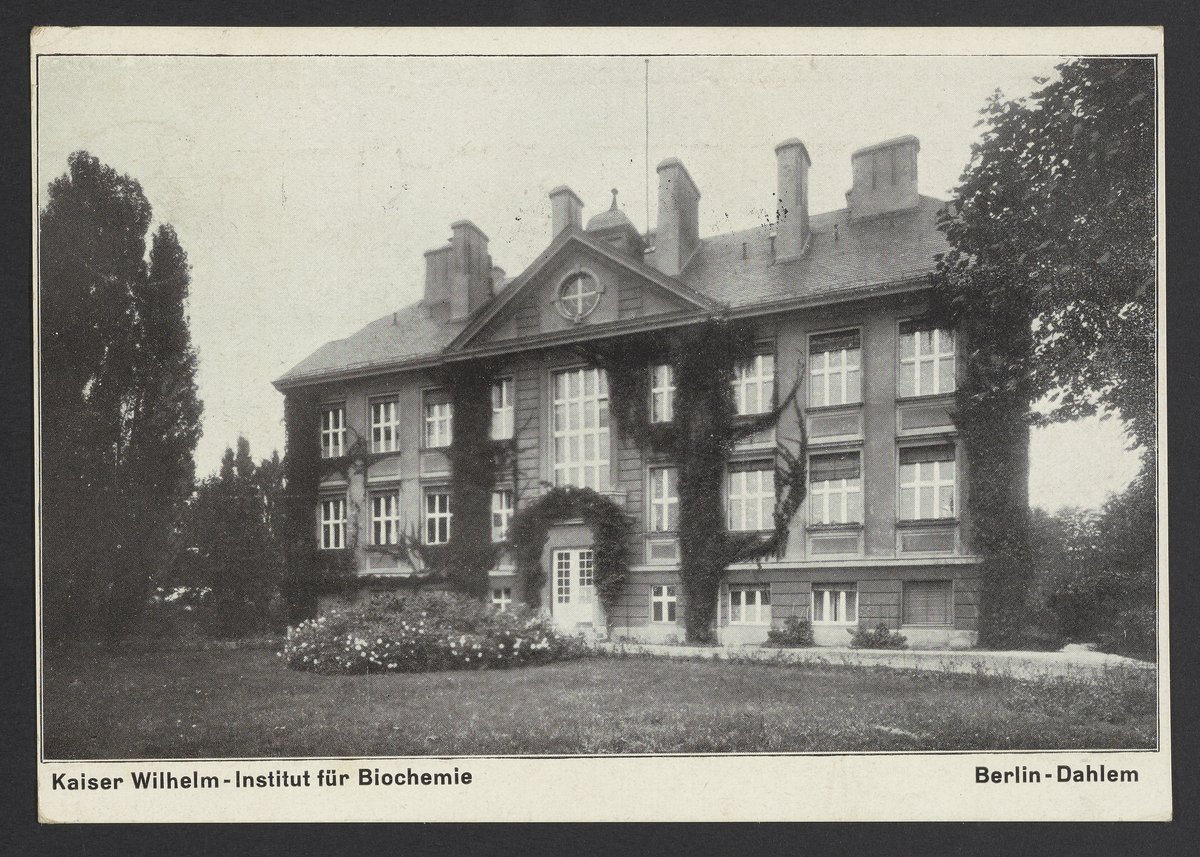 Postcard from Carl Neuberg to Georg Bredig, November 1930 - Science ...