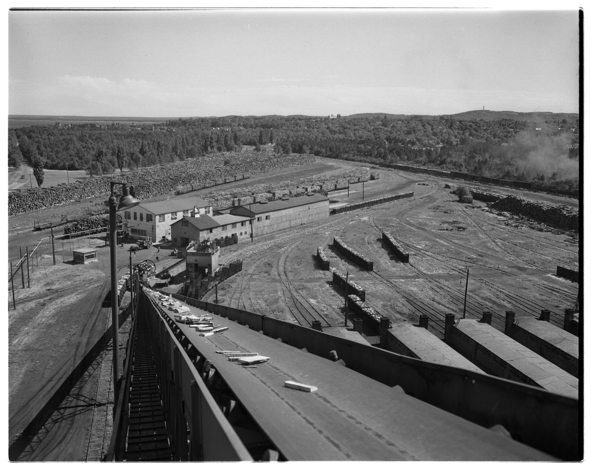 Sawmill at Cliffs Dow plant in Marquette, Michigan - Science History ...