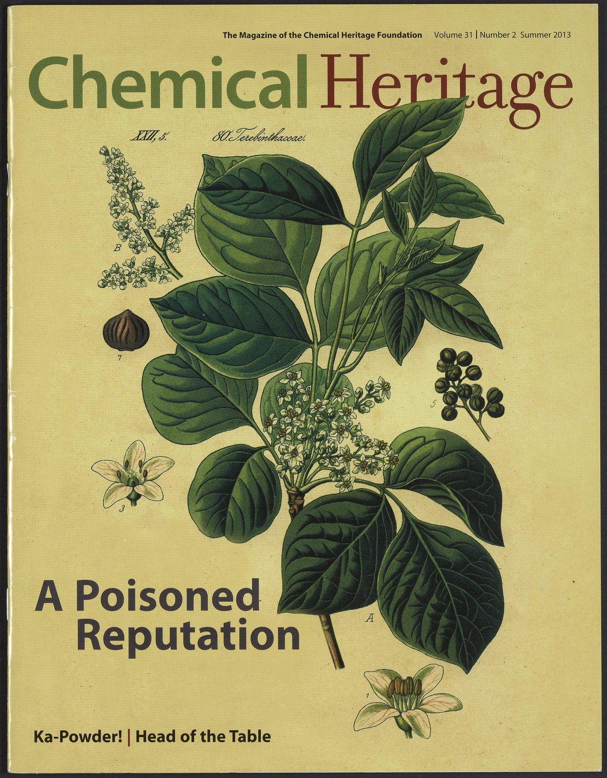 Chemical Heritage, Volume 31 Number 2 - Science History Institute Digital Collections