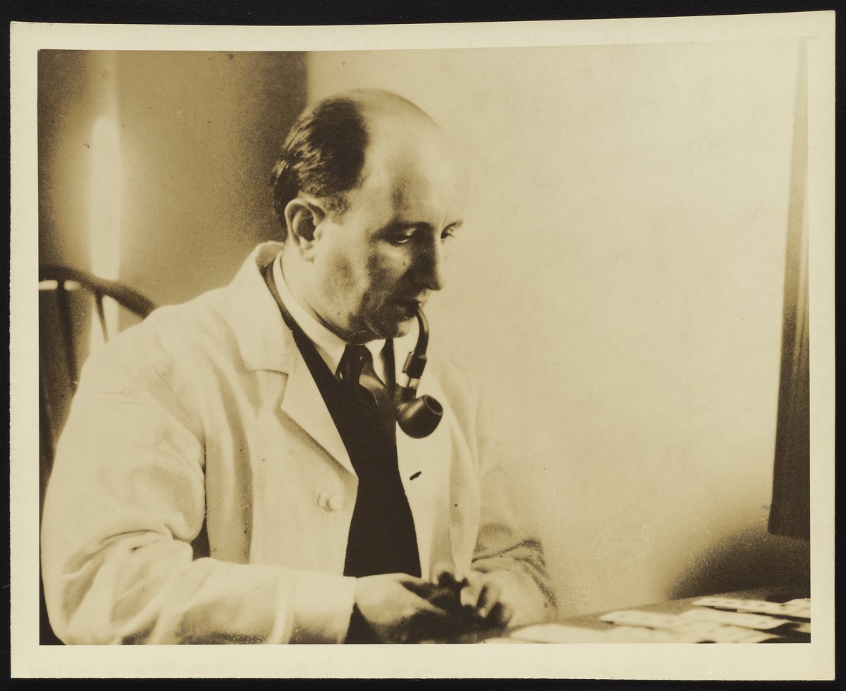 Portrait of Dr. Michael Somogyi playing solitaire - Science History ...