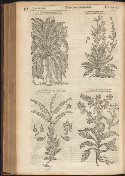 Theatrum Botanicum - Science History Institute Digital Collections