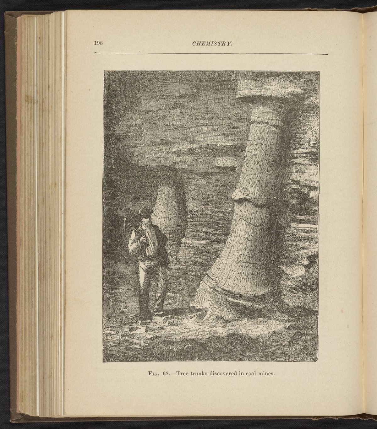 Figure 62: Tree Trunks Discovered in Coal Mines - Science History ...