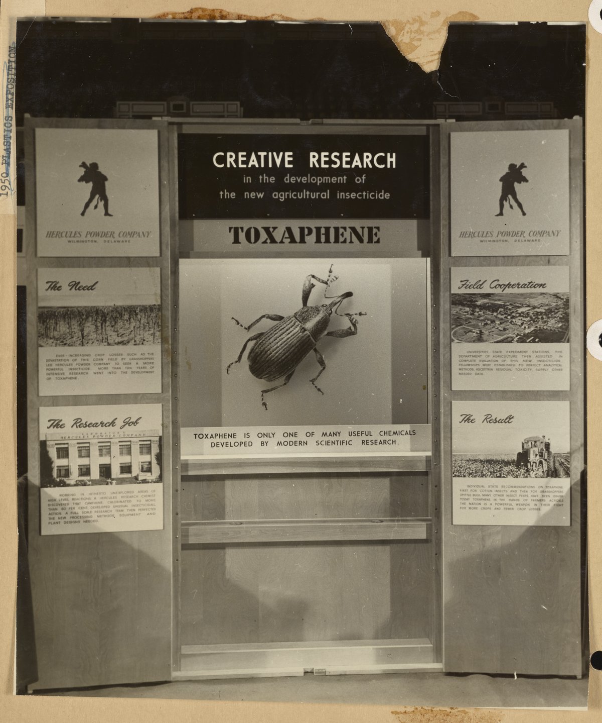 Toxaphene exhibition display (March 1950) - Science History Institute ...