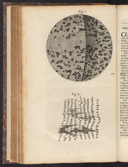 Micrographia : or, Some physiological descriptions of minute bodies ...