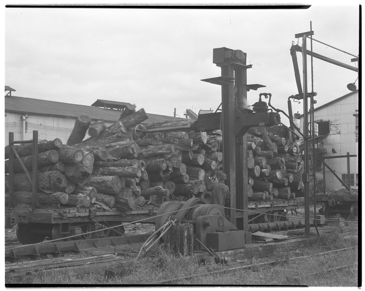Wood storage at Cliffs Dow sawmill in Marquette, Michigan - Science ...