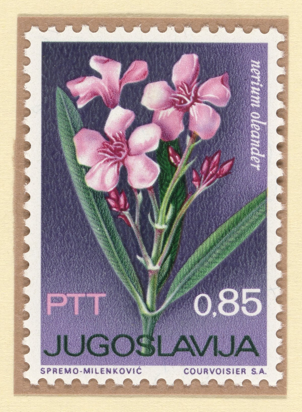 Oleander (Nerium oleander) postage stamp, Yugoslavia - Science History ...