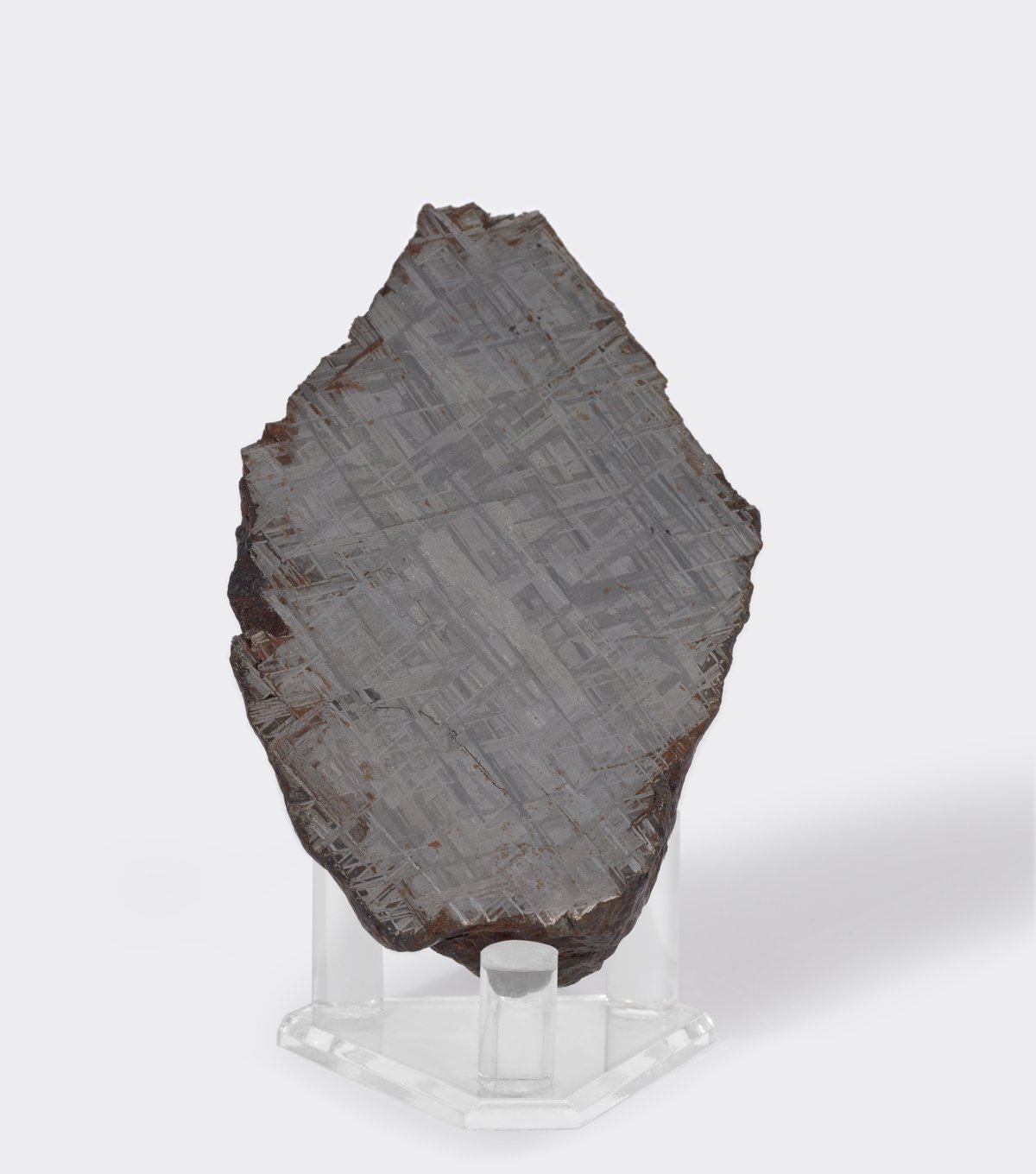 Muonionalusta Meteorite - Science History Institute Digital Collections