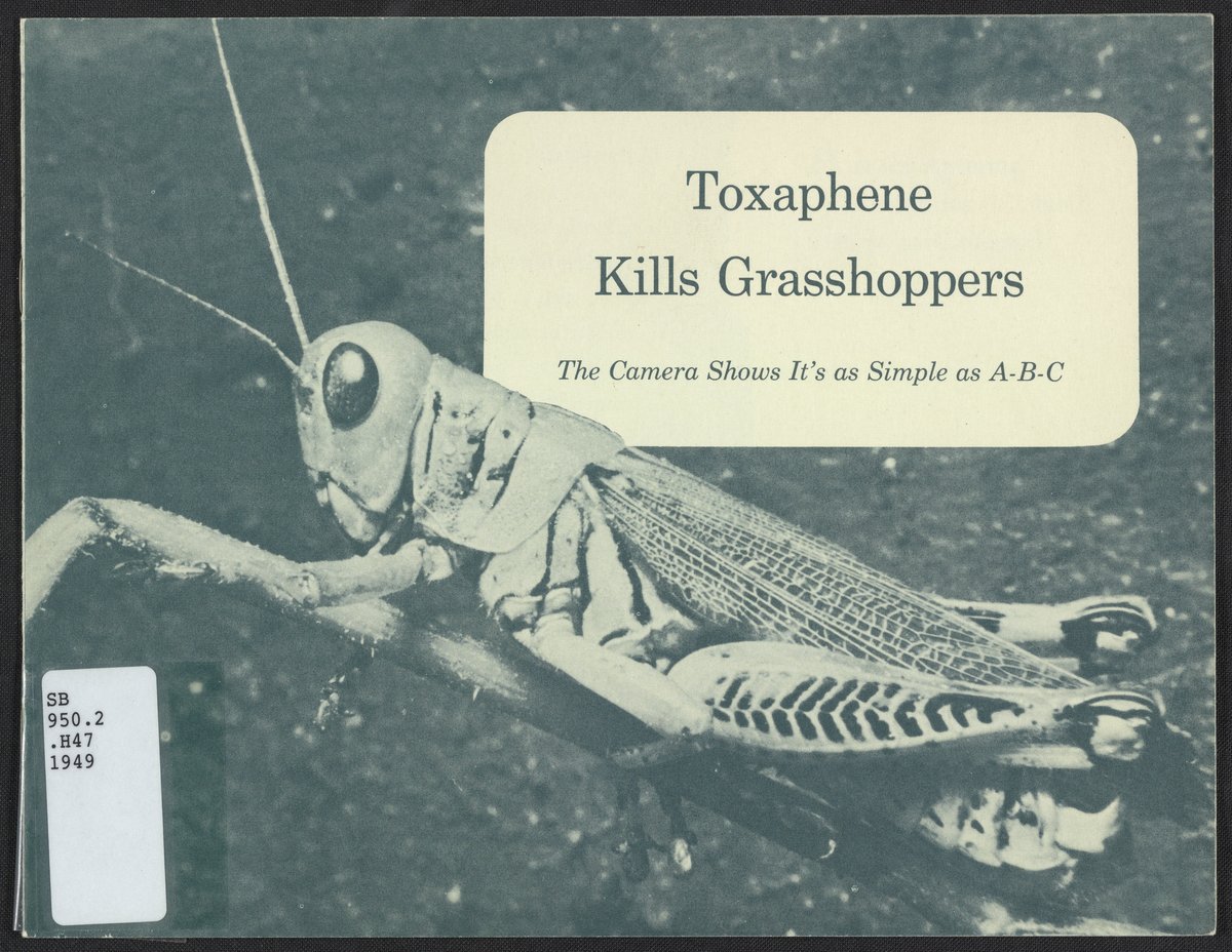 Toxaphene Kills Grasshoppers: The Camera Shows it's as Simple as A.B.C ...