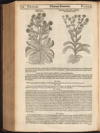 Theatrum Botanicum - Science History Institute Digital Collections