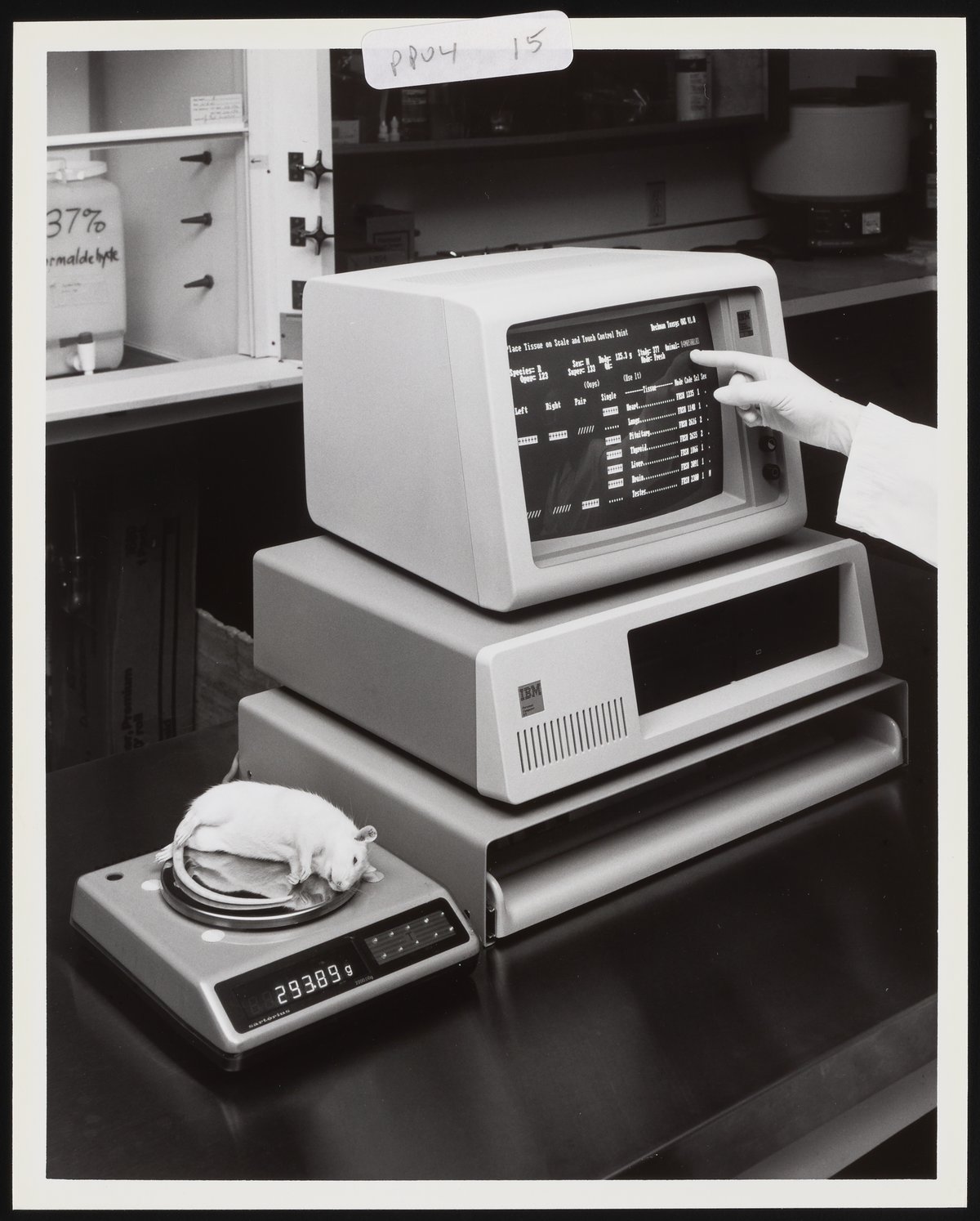 Laboratory animal weighing station with Beckman TOXSYS Terminal - Science History Institute ...