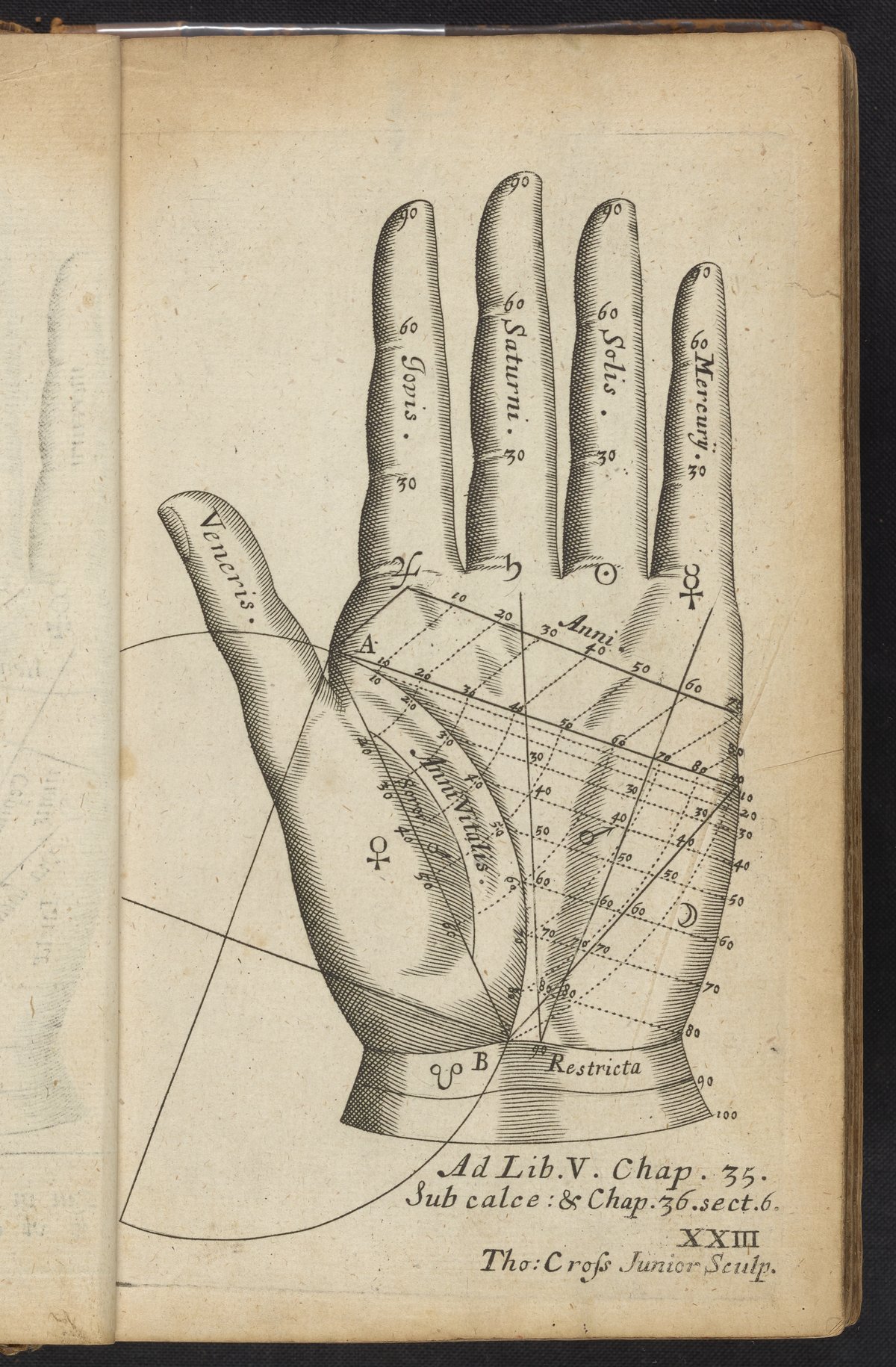 Plate XXIII: Palmistry chart of left hand - Science History Institute ...