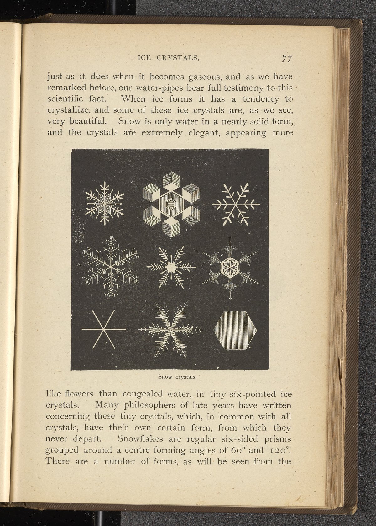Snow Crystals - Science History Institute Digital Collections