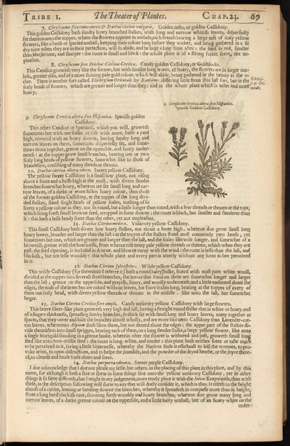 Theatrum Botanicum - Science History Institute Digital Collections