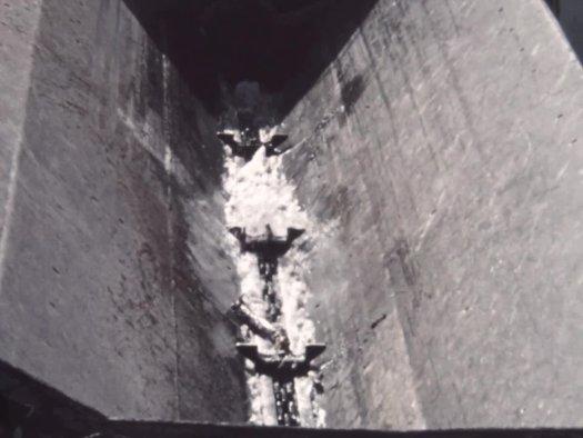 Hercules Powder Company tree stump handling in Brunswick, Georgia ...