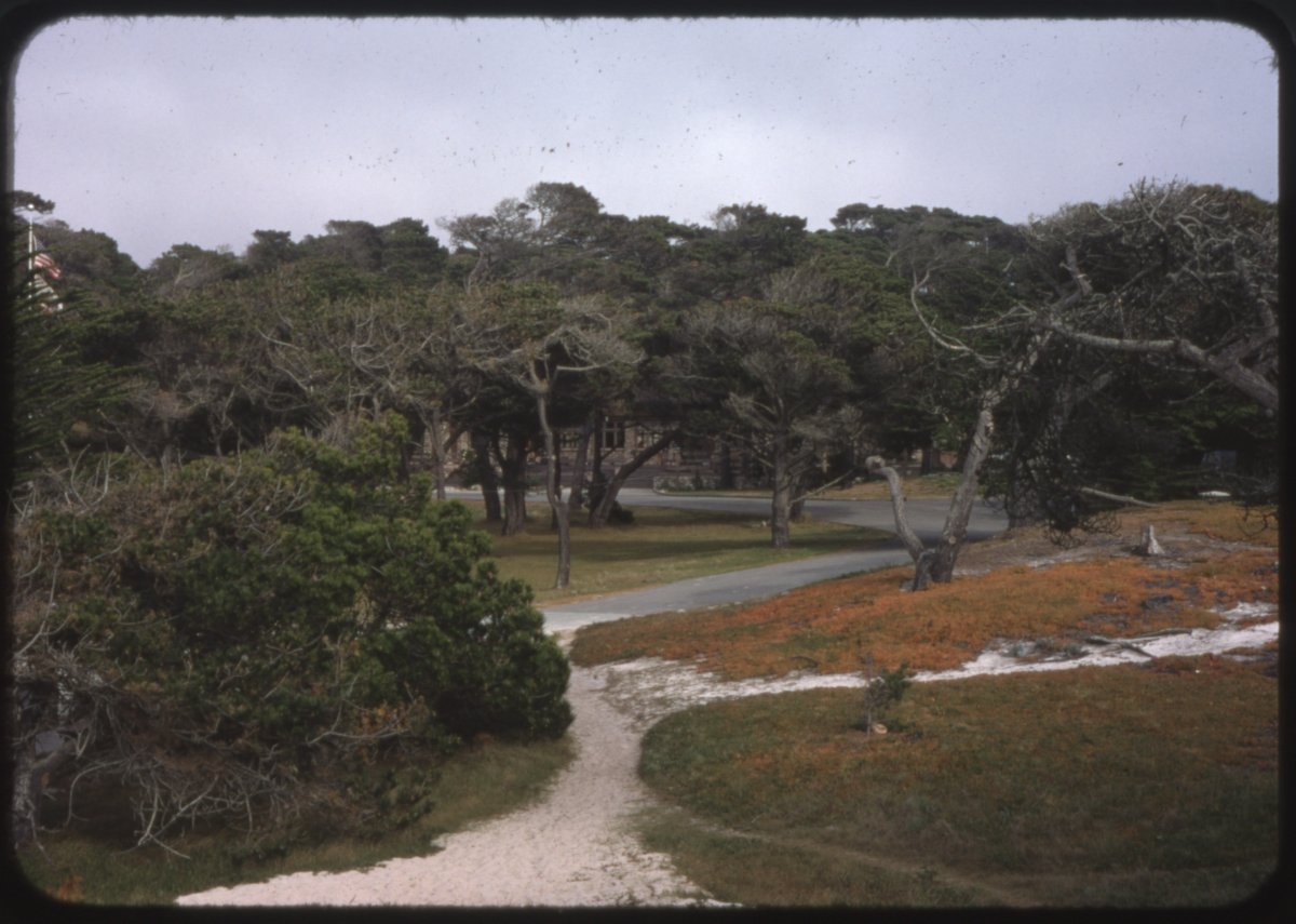 Color transparency of the grounds at Asilomar - Science History ...