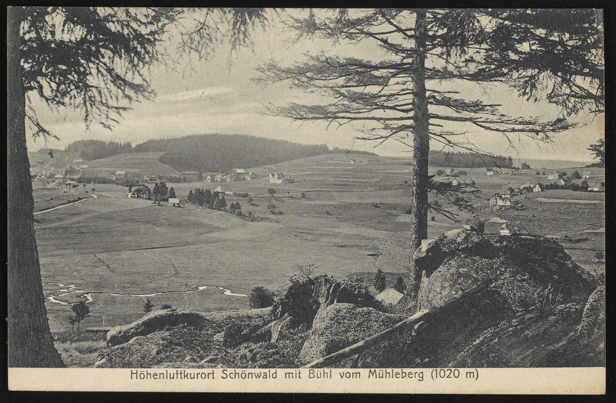 1915 postcard of Schönwald, Germany to Max Bredig - Science History ...
