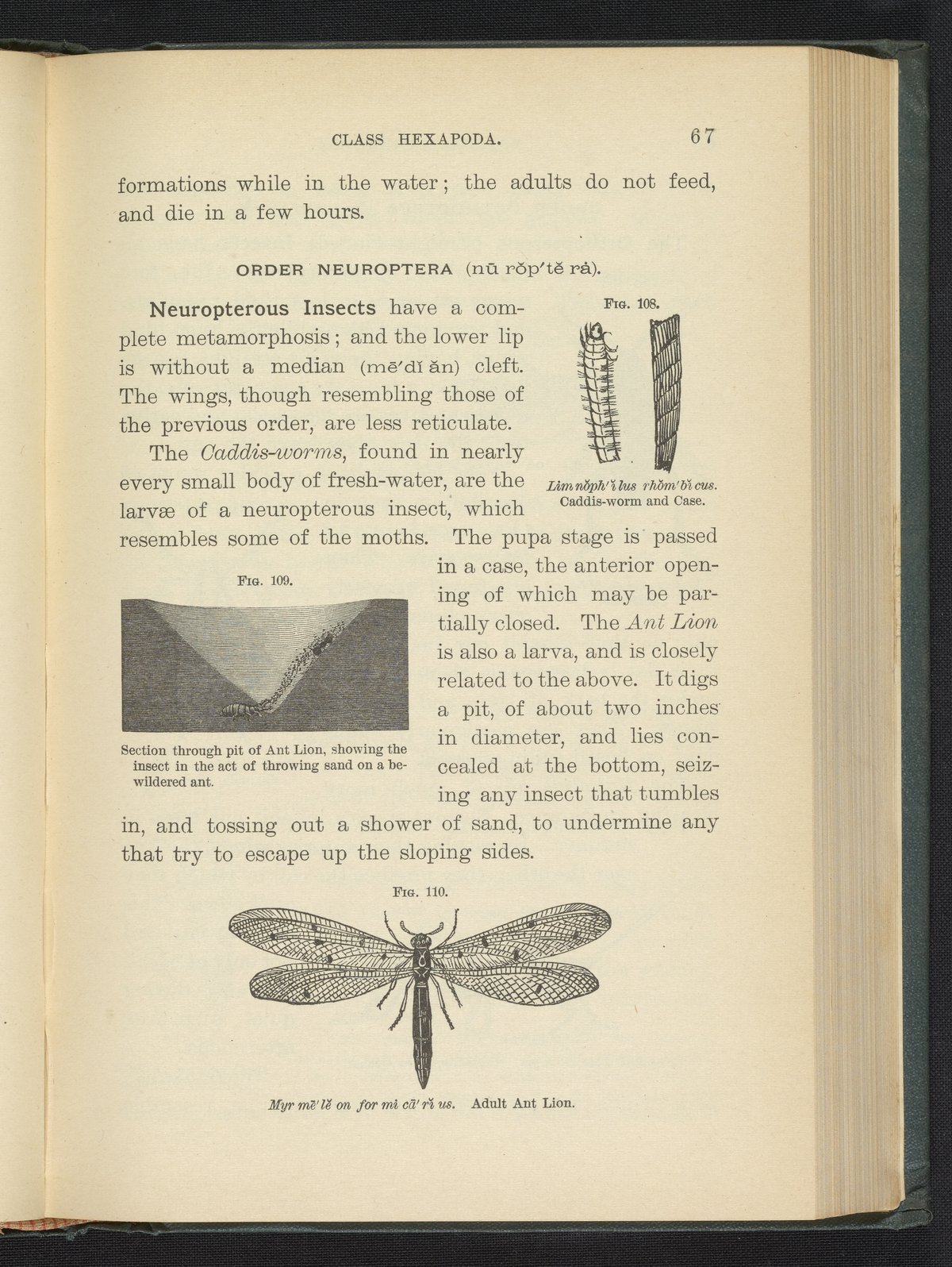 Figure 108. Caddis-worm and Case. Figure 109. Section Through Pit of ...