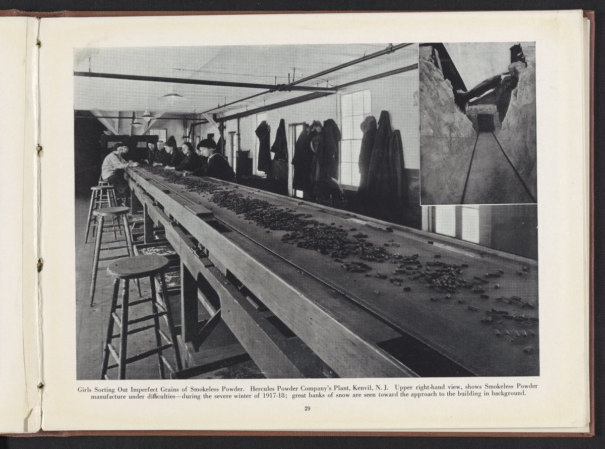 Women sorting out imperfect grains of smokeless powder at Hercules ...