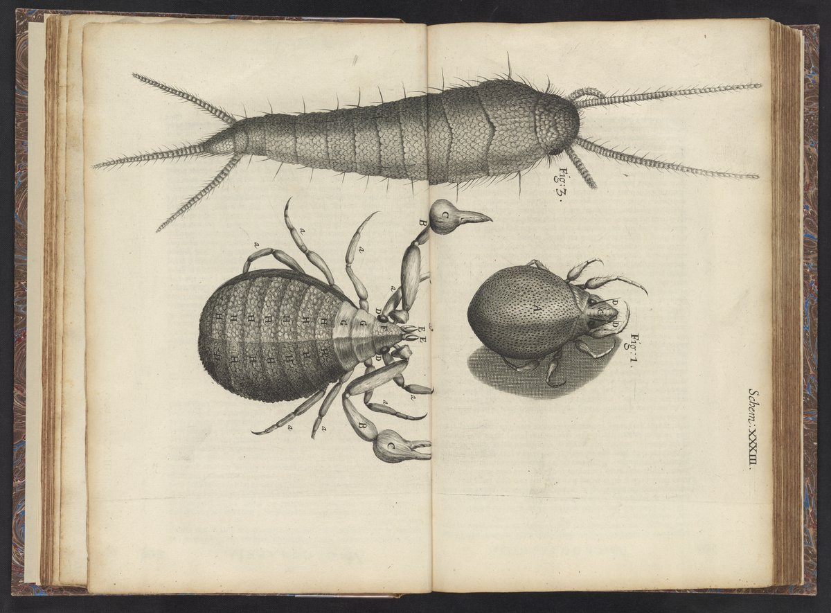 Microscopic view of mites and book-worms - Science History Institute ...