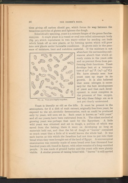 The Baker's Book [Volume I] - Science History Institute Digital Collections