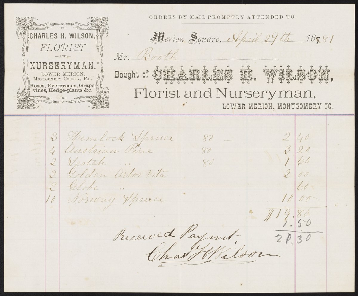 Receipt from Charles H. Wilson, Florist and Nurseryman - Science ...