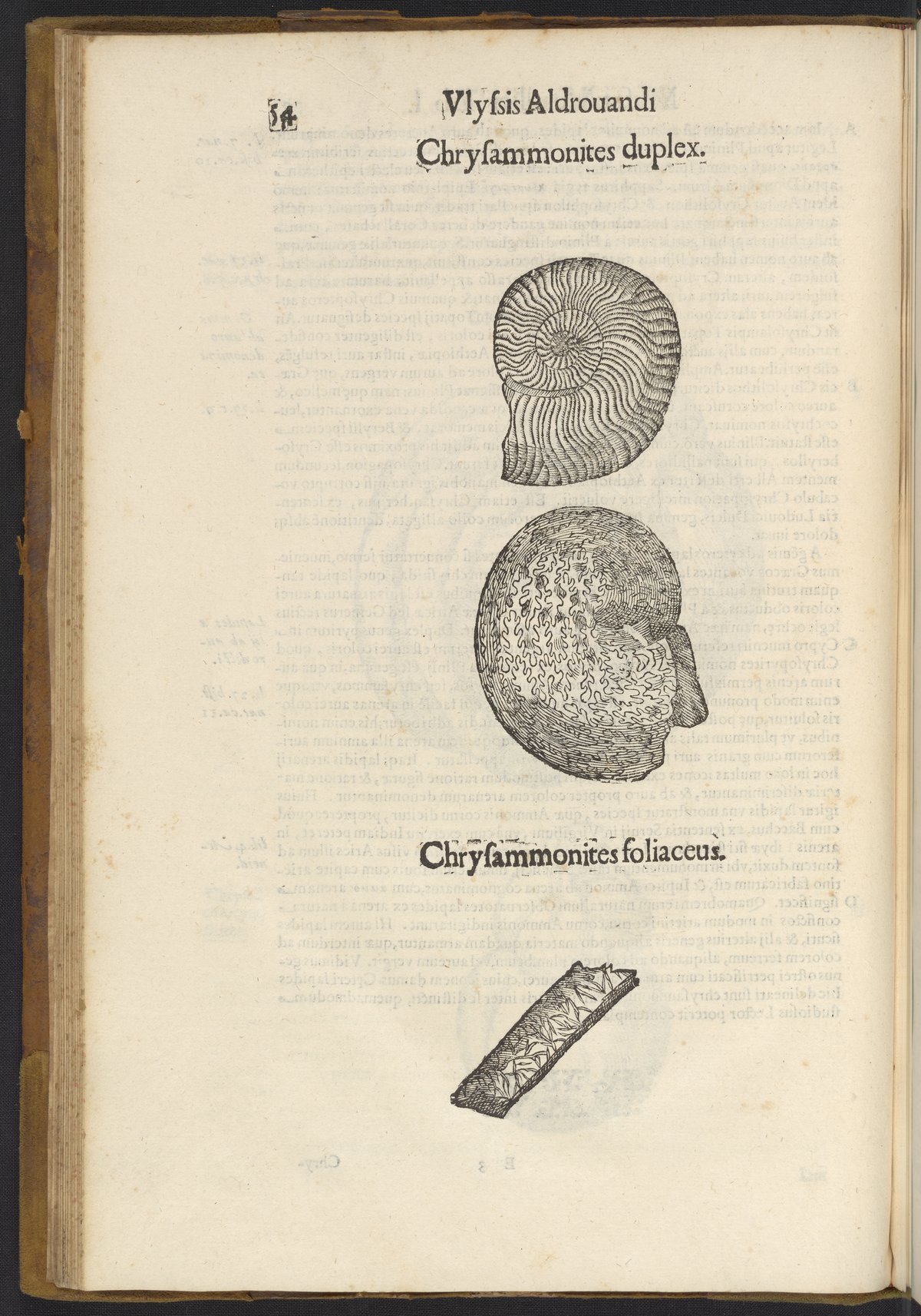 Musaeum Metallicum in Libros IIII - Science History Institute Digital ...