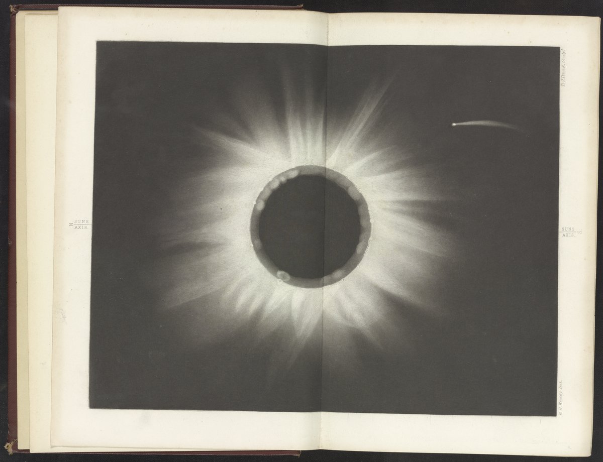 Total Solar Eclipse. Egypt, 1882 - Science History Institute Digital ...