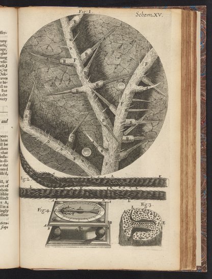 Micrographia : or, Some physiological descriptions of minute bodies ...