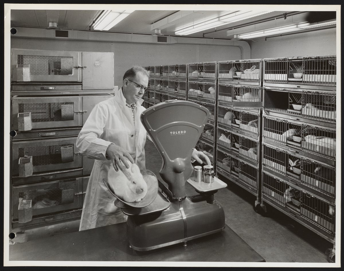 Biological Chemical Laboratory at Dow Chemical Company - Science ...