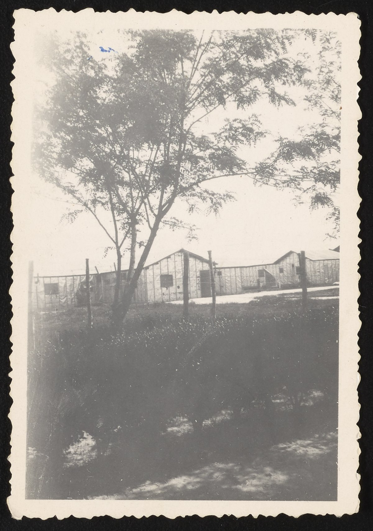 Gurs Concentration Camp - Science History Institute Digital Collections