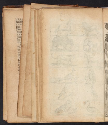 Polygraphice, or, the Arts of Drawing, Engraving, Etching, Limning ...