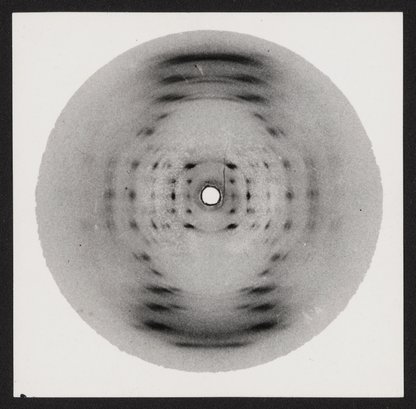 DNA X-ray diffraction image known as Photo 51, Annotated by Rosalind ...