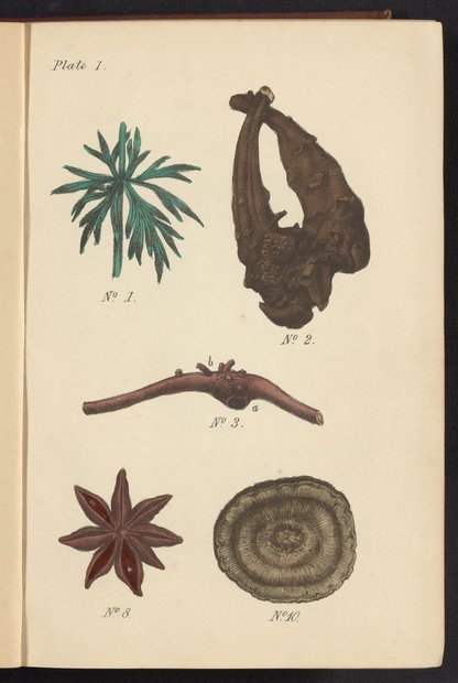 A Manual of Vegetable Materia Medica - Science History Institute ...