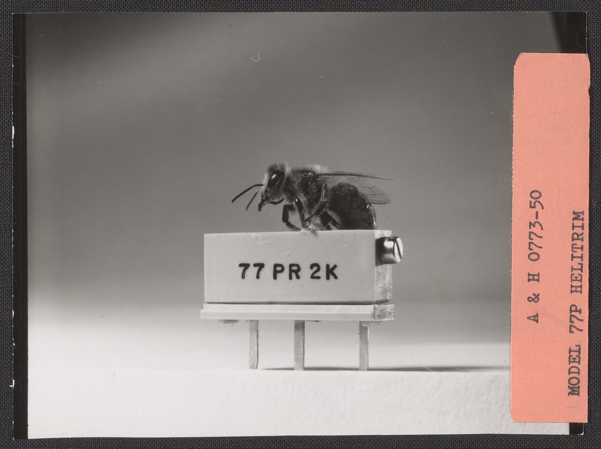 Beckman Helipot Model 77P Helitrim trimming potentiometer with bee ...