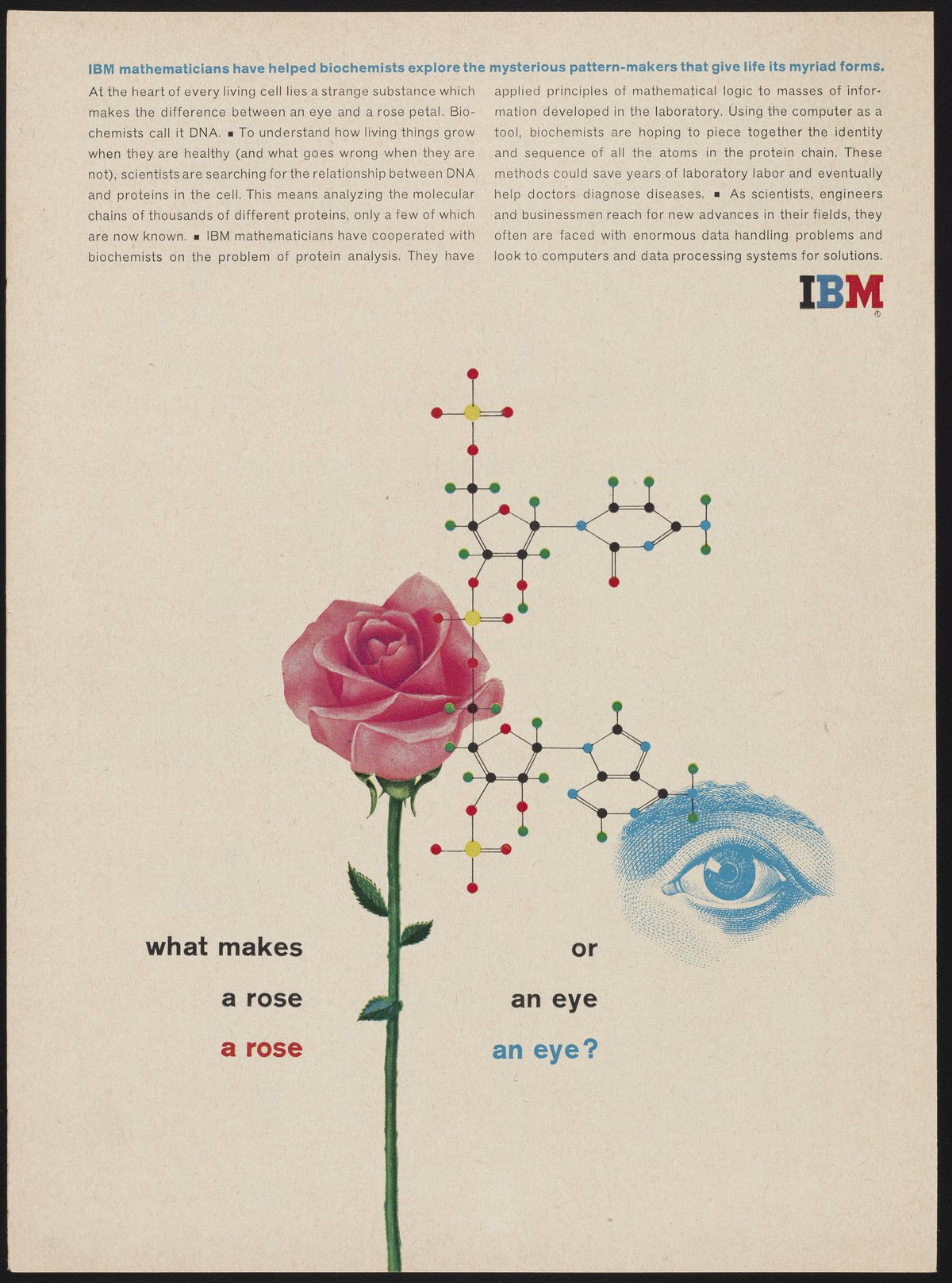 What makes a rose a rose or an eye an eye? - Science History Institute ...