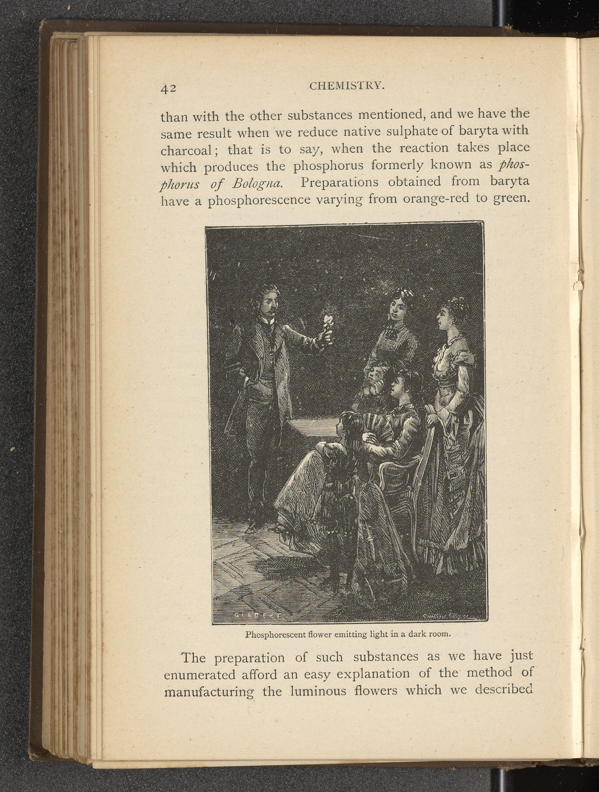 Phosphorescent Flower Emitting Light in a Dark Room - Science History ...