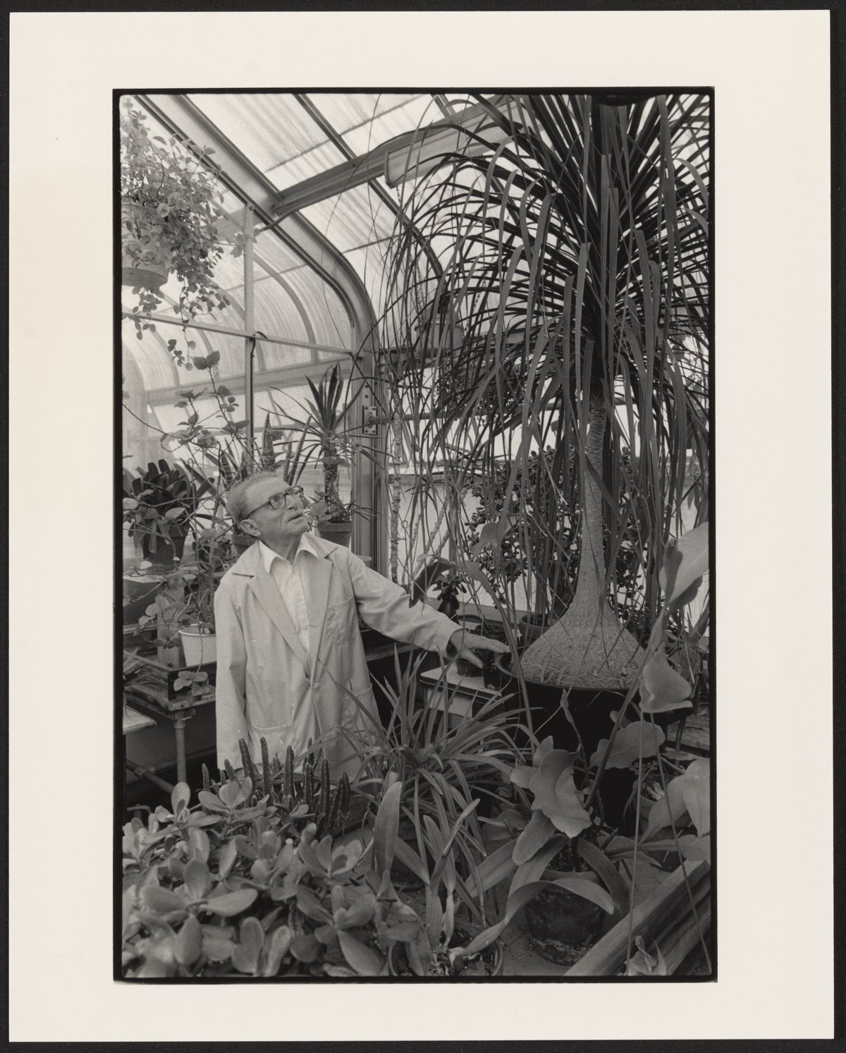Photograph of Max Tishler at Wesleyan University - Science History ...