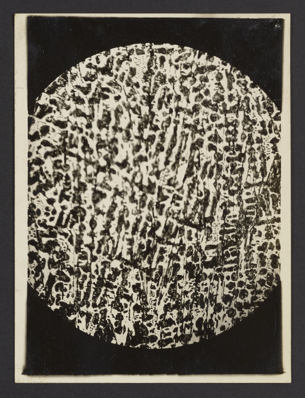 Microscopy slides depicting malleable iron - Science History Institute ...