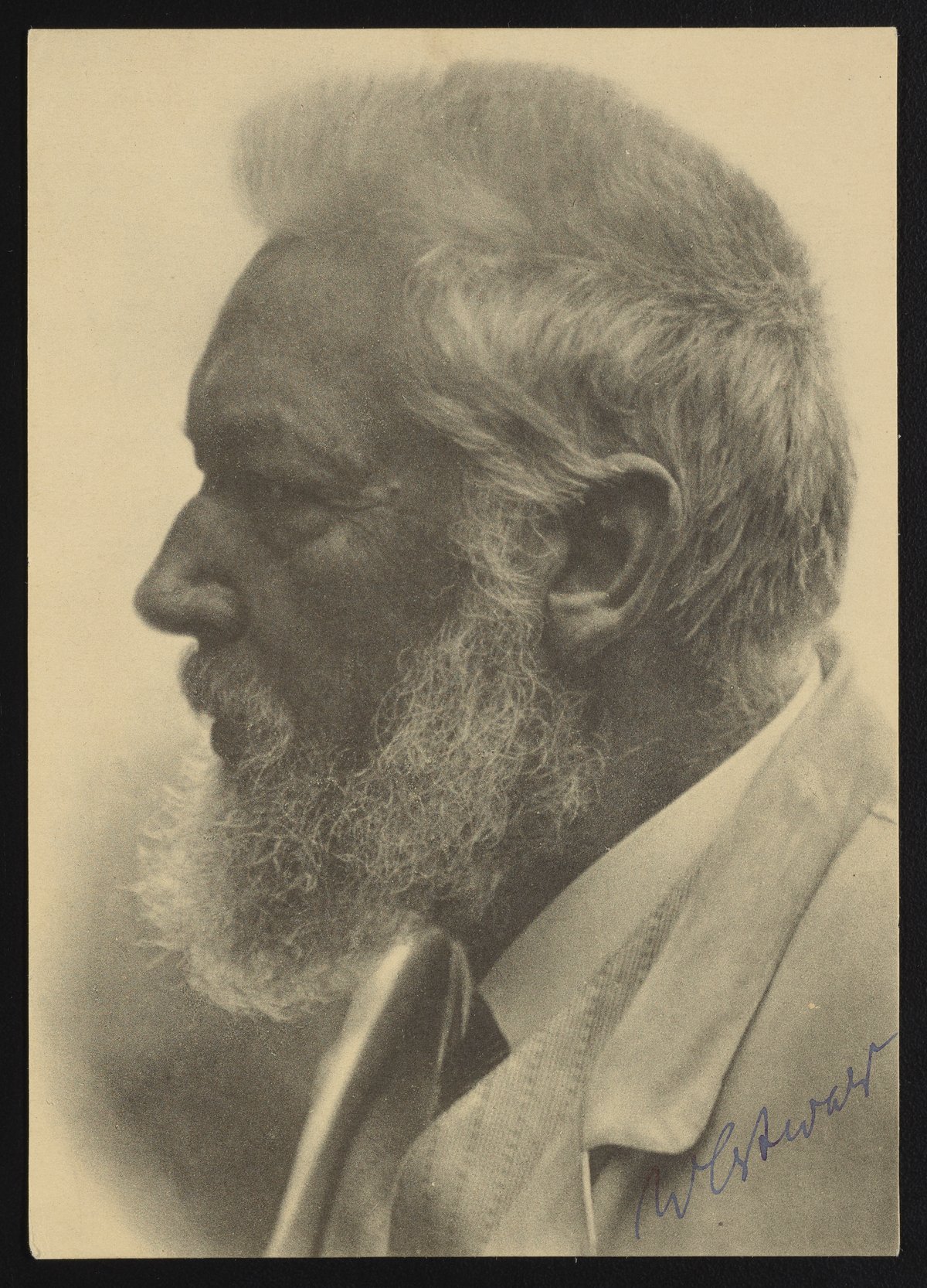 Portrait of Wilhelm Ostwald - Science History Institute Digital Collections