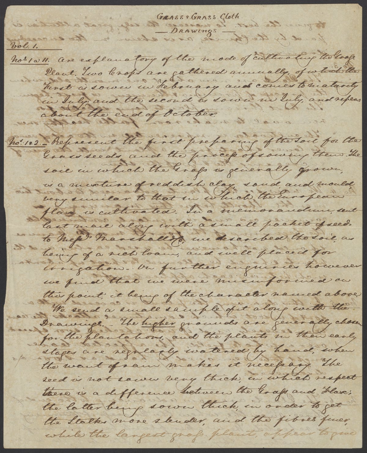 The Story of Ramie From Seed to Finished Garment - Science History ...