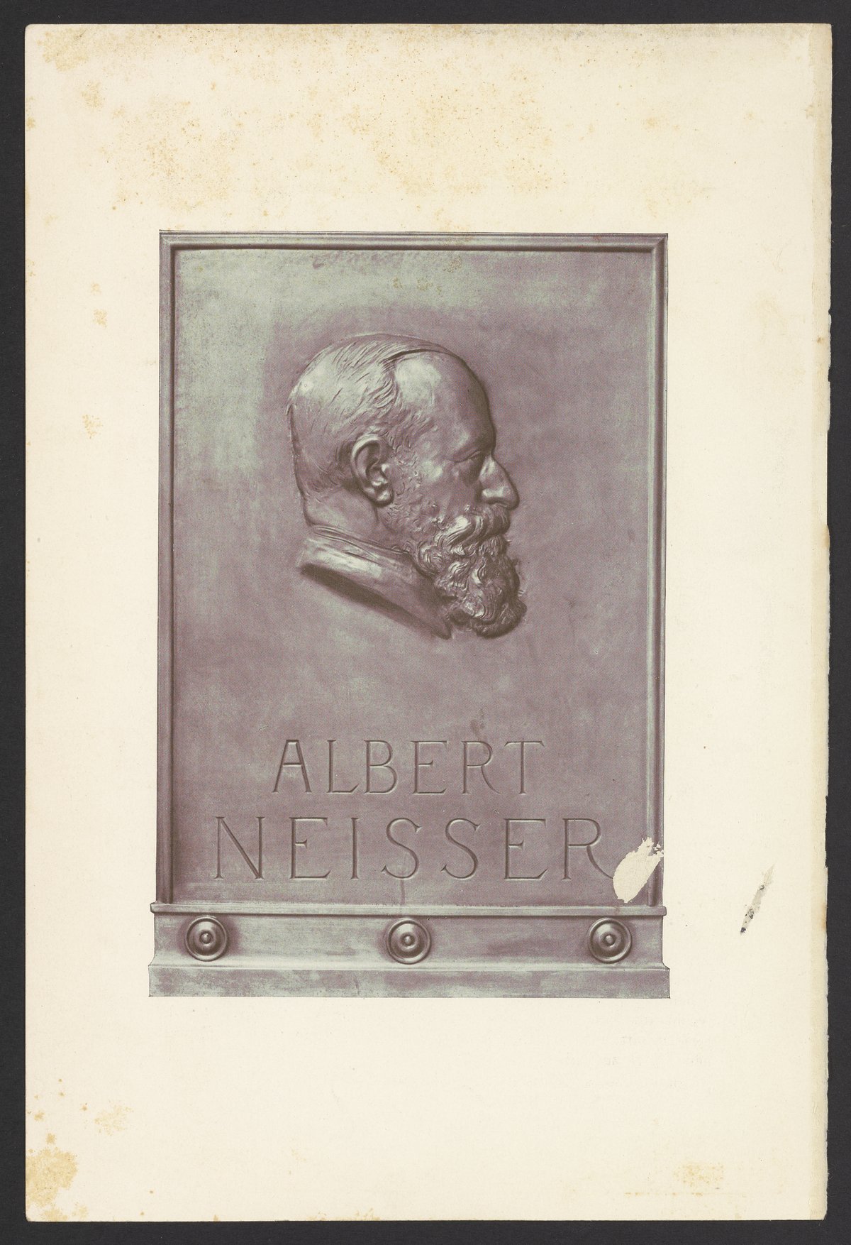Photograph of a plaque depicting Albert Neisser with a descriptive ...