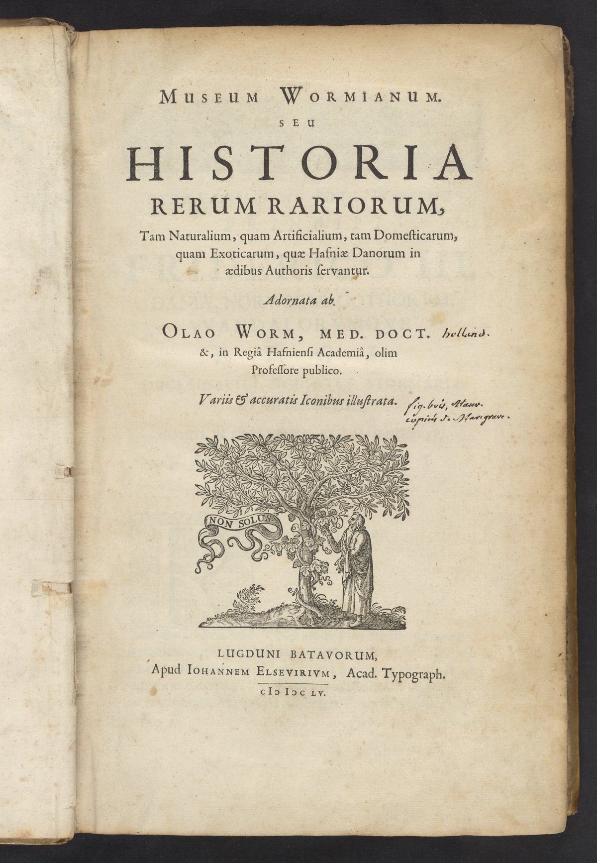 Museum Wormianum - Science History Institute Digital Collections