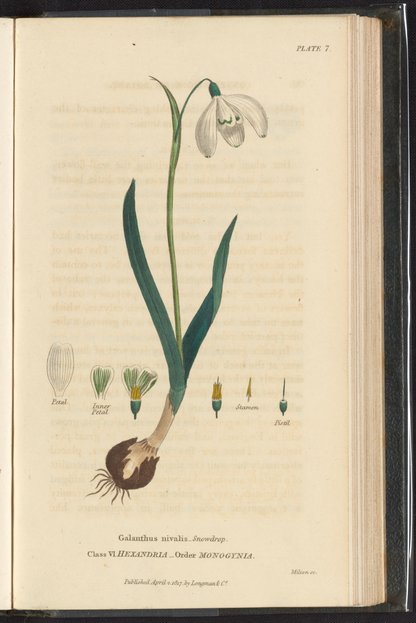 Conversations on Botany - Science History Institute Digital Collections