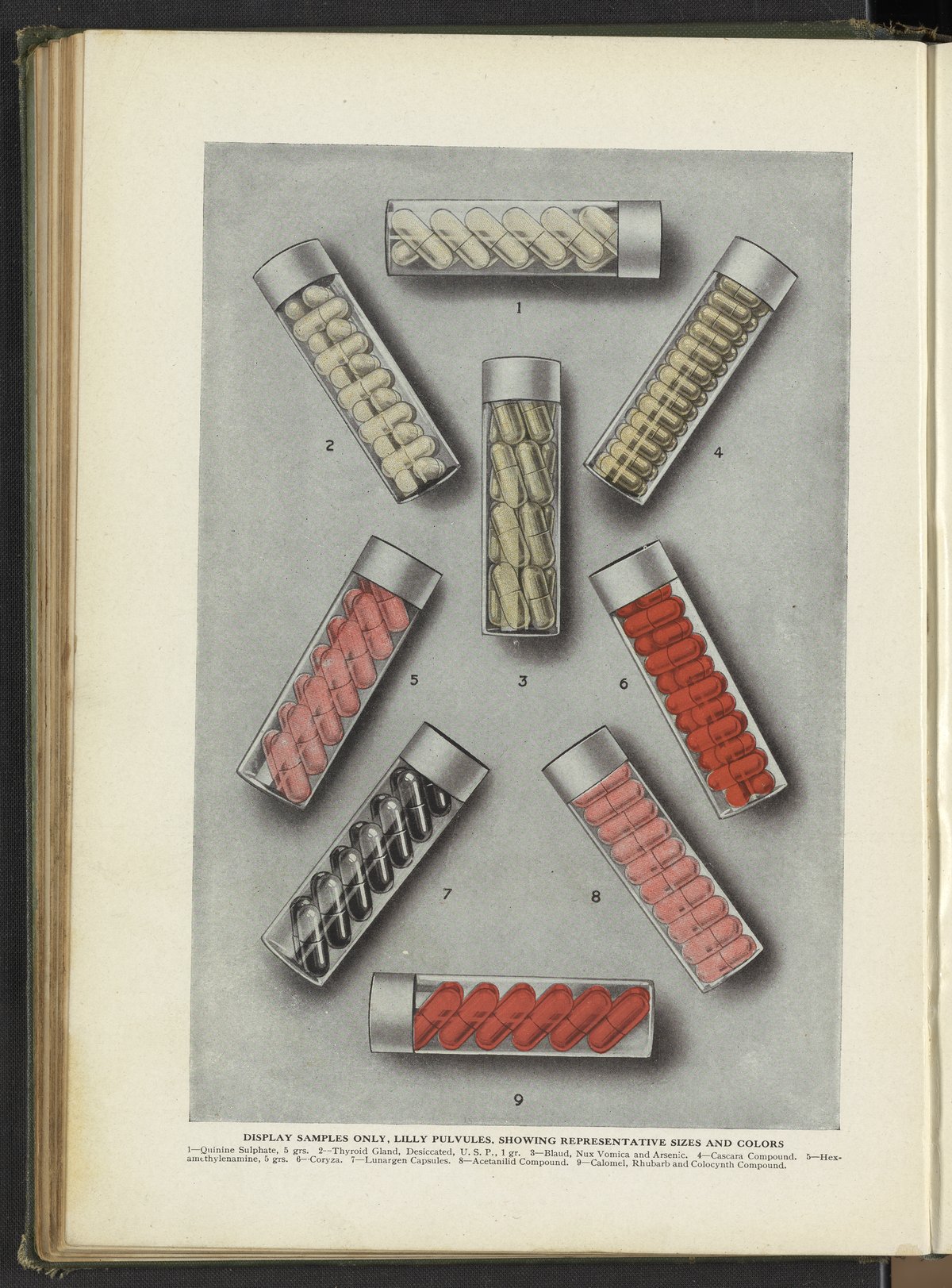 Display samples only, Lilly Pulvules, showing representative sizes and ...