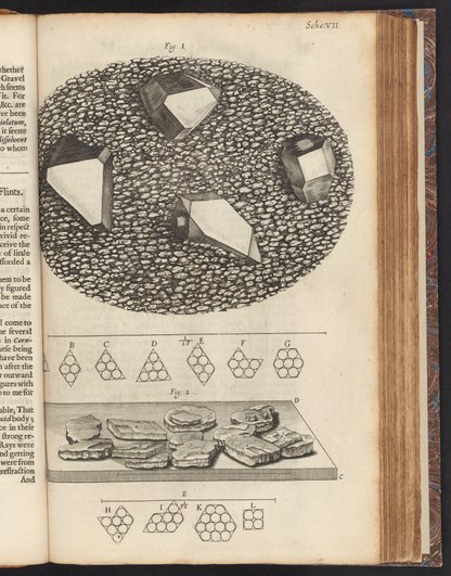 Micrographia : or, Some physiological descriptions of minute bodies ...
