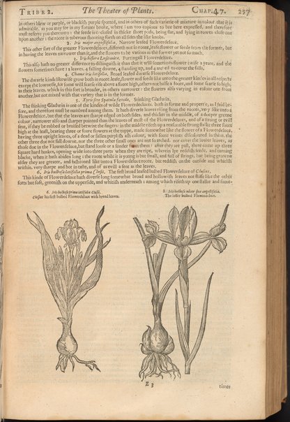 Theatrum Botanicum - Science History Institute Digital Collections
