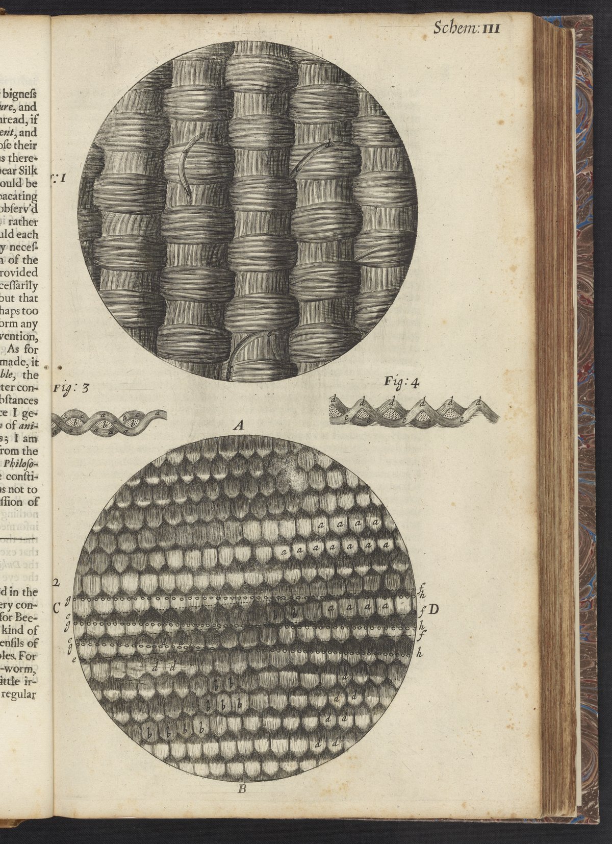 Microscopic view of taffeta and silk - Science History Institute ...