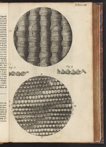 Micrographia : or, Some physiological descriptions of minute bodies ...