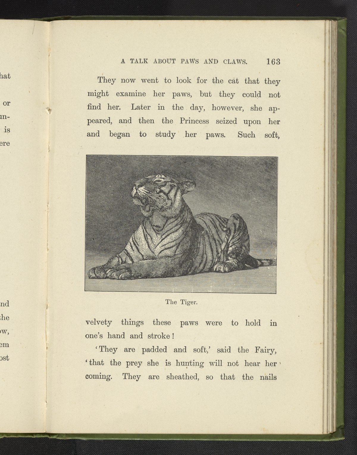 The Tiger - Science History Institute Digital Collections