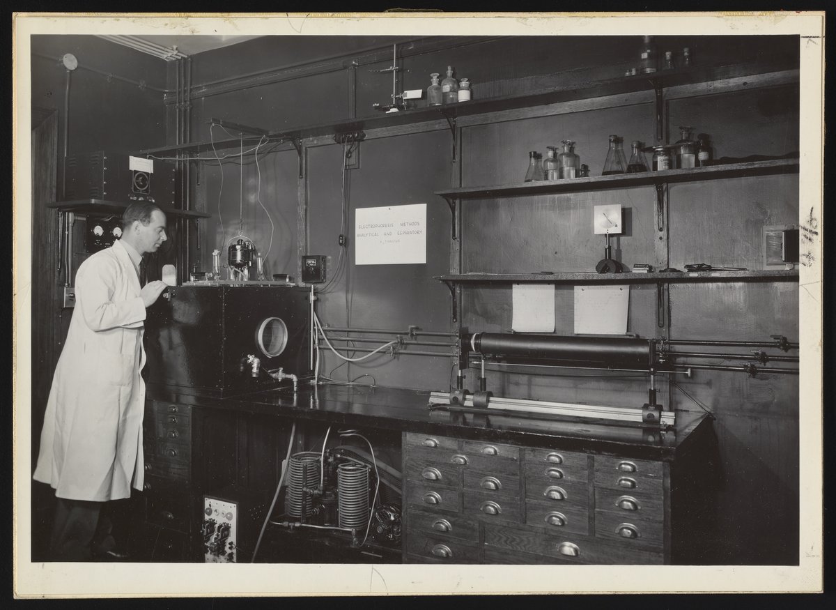 Arne Tiselius demonstrating electrophoresis apparatus - Science History ...